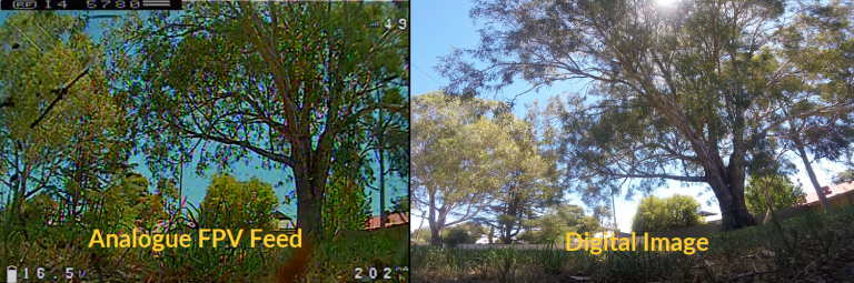 Digital FPV: Is it the Future of Drone Racing? | GetFPV Learn