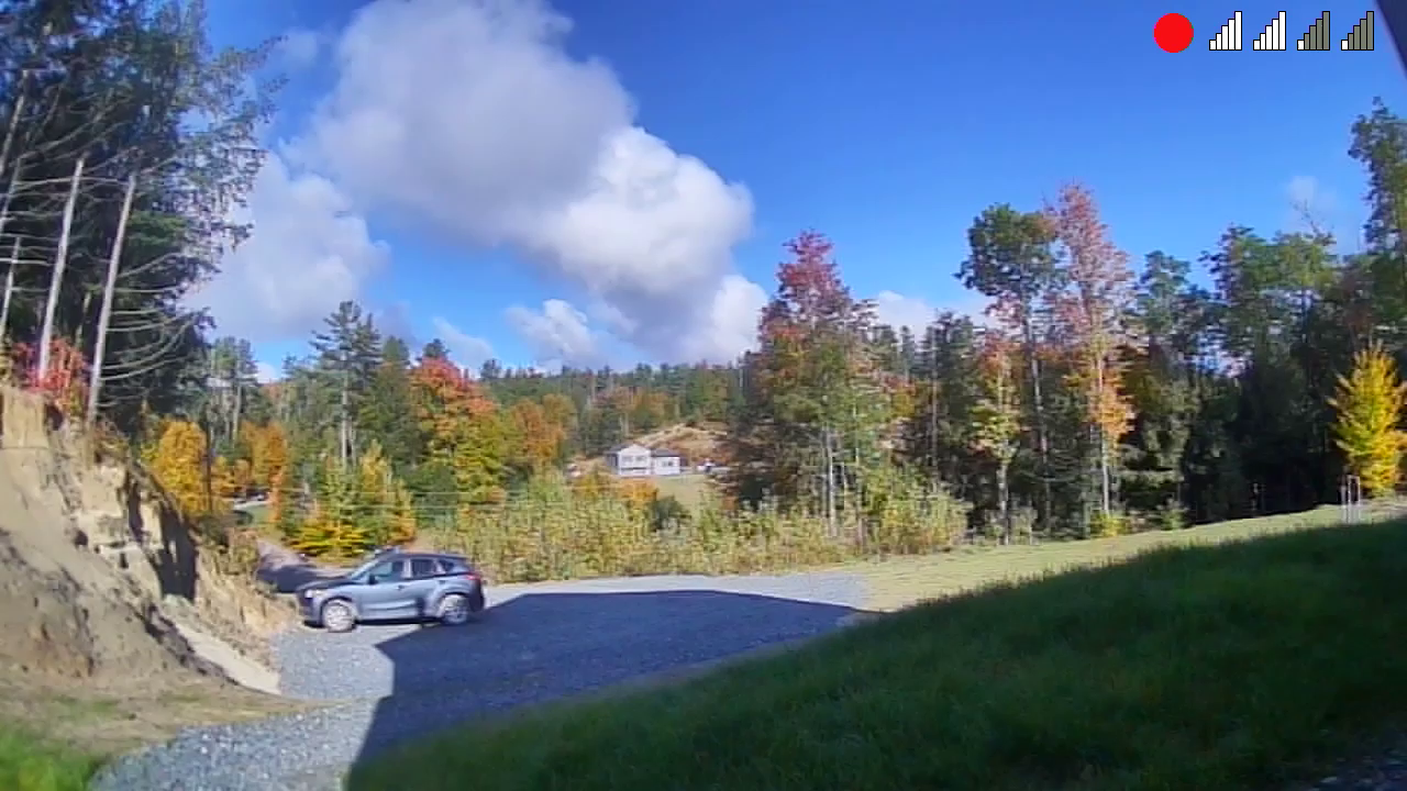 Shark Byte Digital Hd Video Getfpv Learn